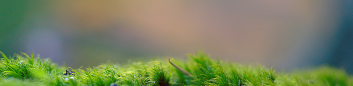 ᐅ Dörphof 24398 › Rendsburg-Eckernförde › Schleswig-Holstein 2024