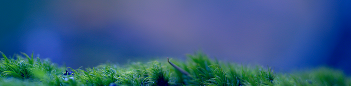 ᐅ Hamdorf 24805 › Rendsburg-Eckernförde › Schleswig-Holstein 2024