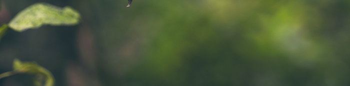 ᐅ Rumohr 24254 › Rendsburg-Eckernförde › Schleswig-Holstein 2023