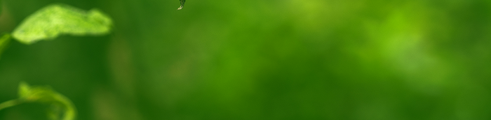 ᐅ Schinkel 24214 › Rendsburg-Eckernförde › Schleswig-Holstein 2023